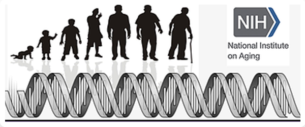 Collaborations – Integrative Longevity Omics